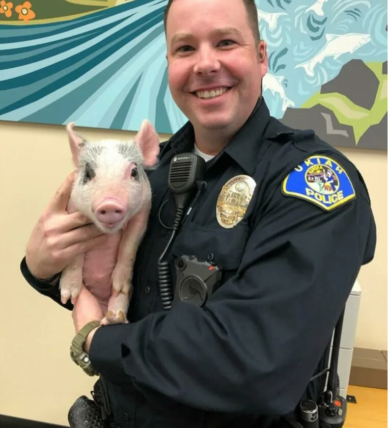 Ukiah PD K9 cop Kevin Murray, 39, decertified for forcible rape of at ...